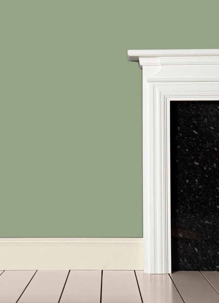 Farrow and Ball Paint - Lichen No.19 | 15% off Introductory Offer ...
